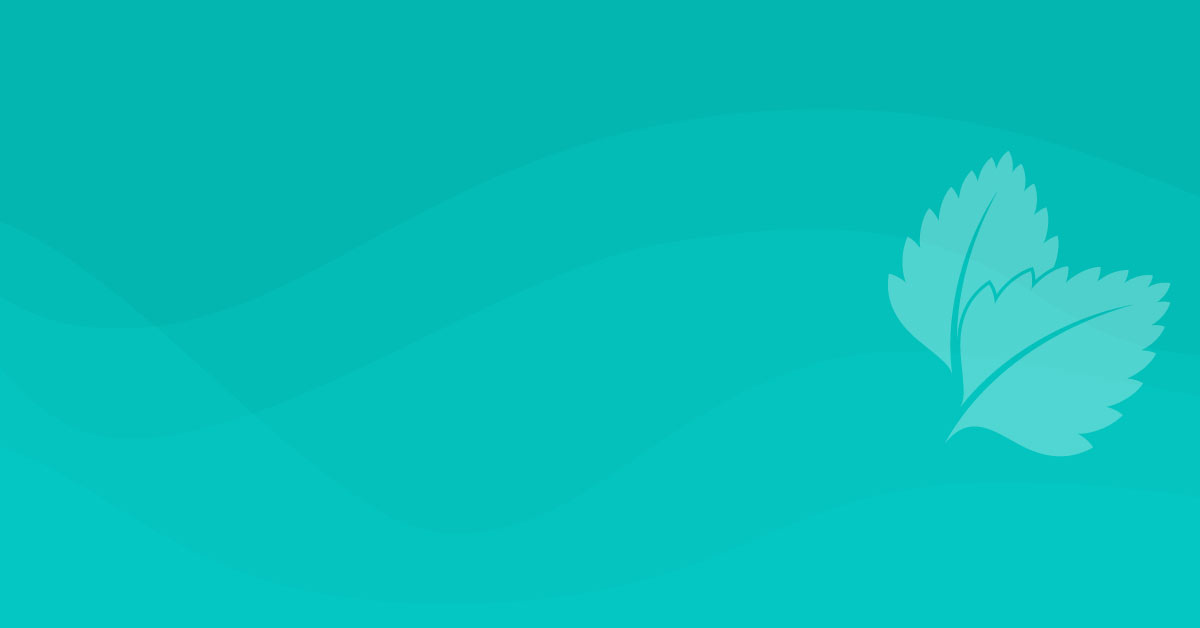 Contact Us - Mint Consulting